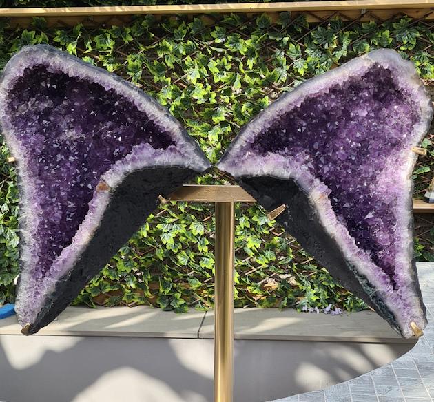 WINGS AND STATEMENTS – INFINITE ENERGY ACADEMY