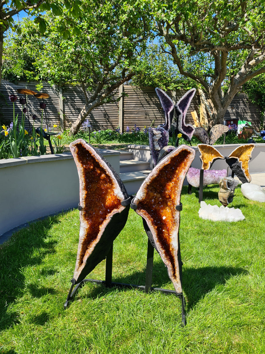 Heated Citrine Angel wings Butterfly wings on stand - MONARCH ...